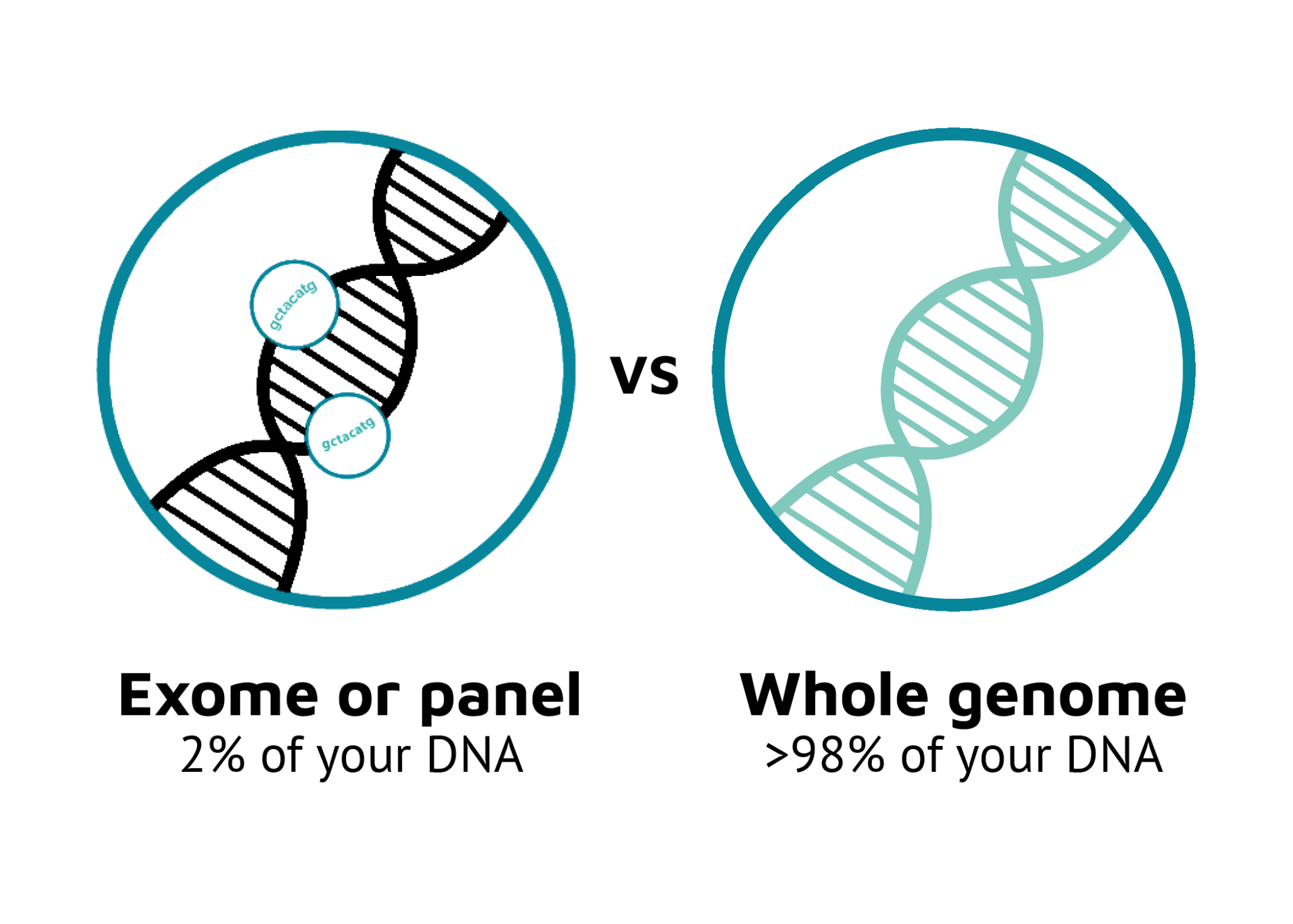 The Variantyx Difference | Whole Genome Testing | Variantyx