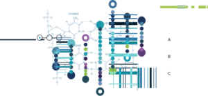 The Variantyx Difference | Whole Genome Testing | Variantyx